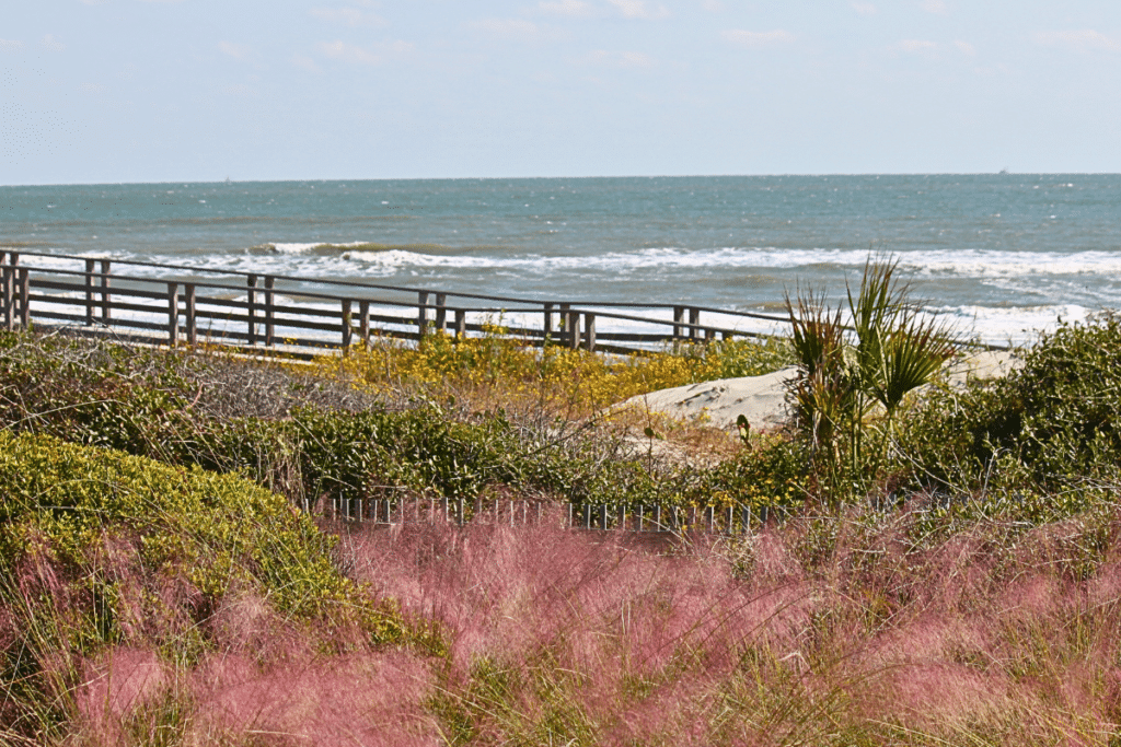 Understated Elegance Awaits on This South Carolinian Island ...